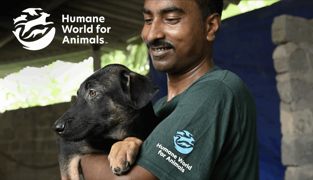 70 Years: Humane World for Animals - Radio - PSA Direct